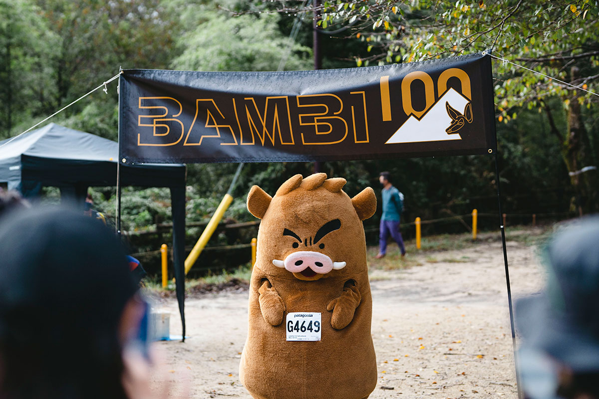 フォトギャラリー - BAMBI100